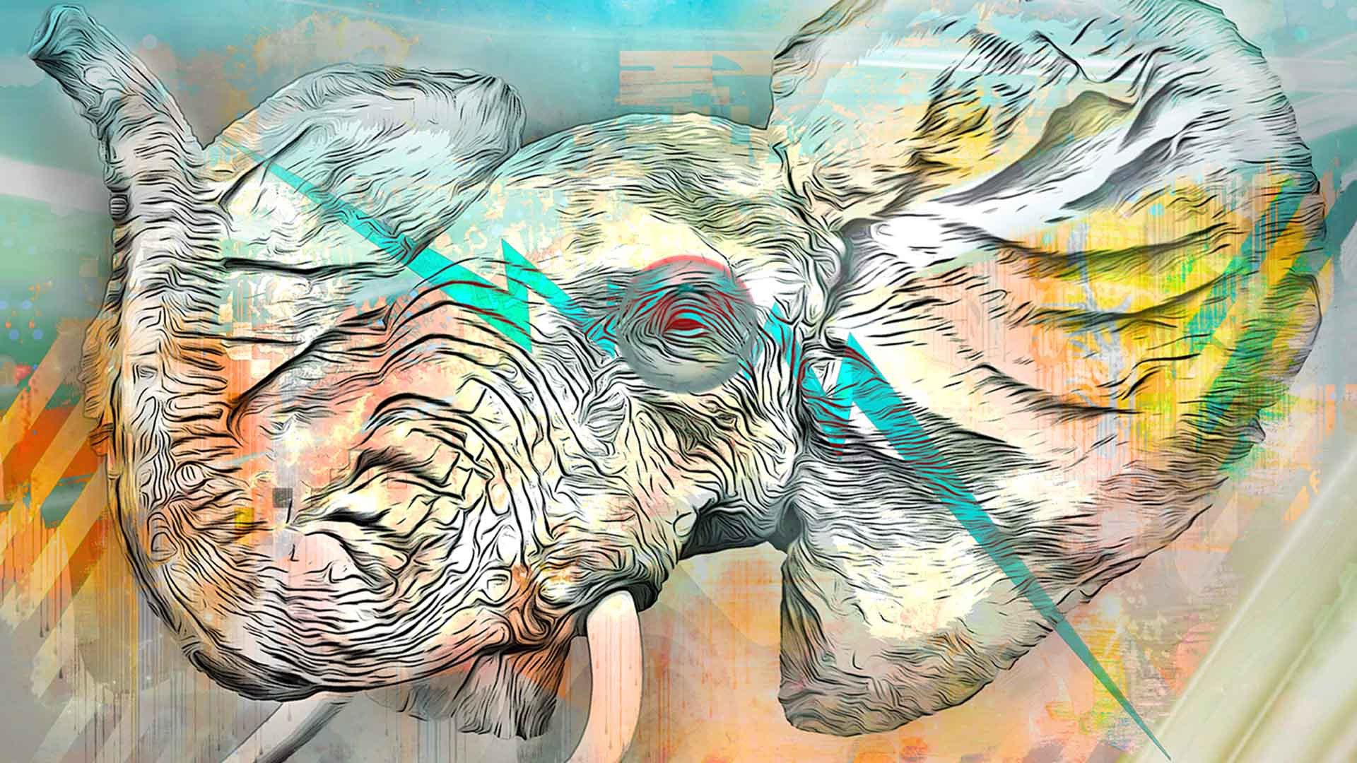 Home - Joe Latimer | A Creative Digital Media Artist | Winter Park, FL